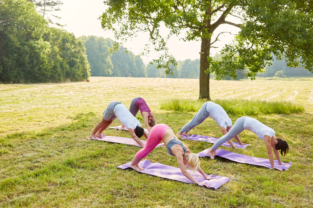Stundenkonzepte für Yoga · Yogastern